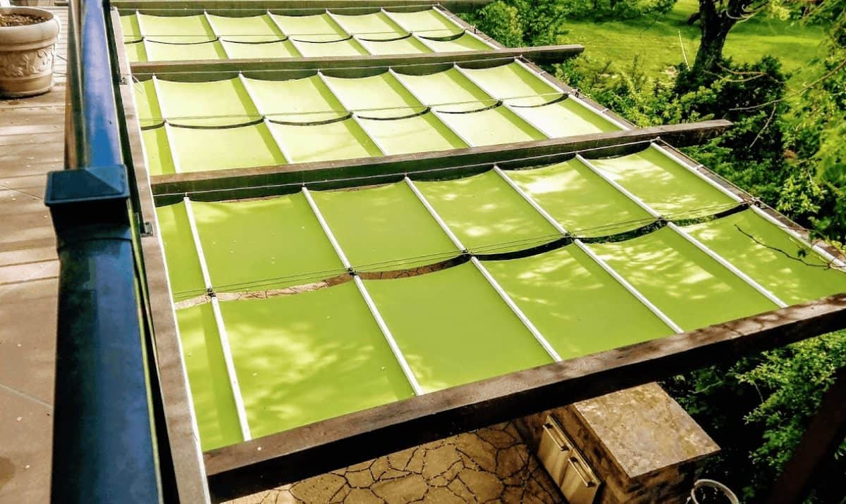 Versatility of Shade Structures Across Diverse Environments